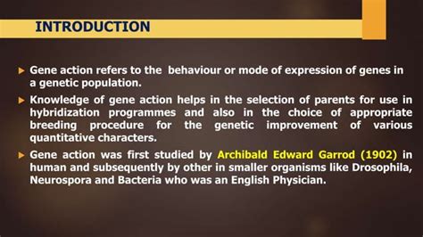 Non Additiv Final Pptx Genetics Science