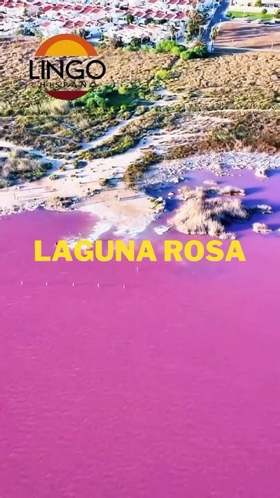 ვარდისფერი ტბა და ვარდისფერი ფლამინგოები ესპანეთში ბუნების ფოტოშოპი Youtube