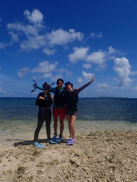 Adventure Pipi