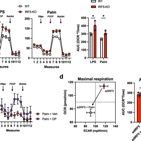 Irf5 Transcriptional Interaction With The Mitochondrial Structural Download Scientific Diagram