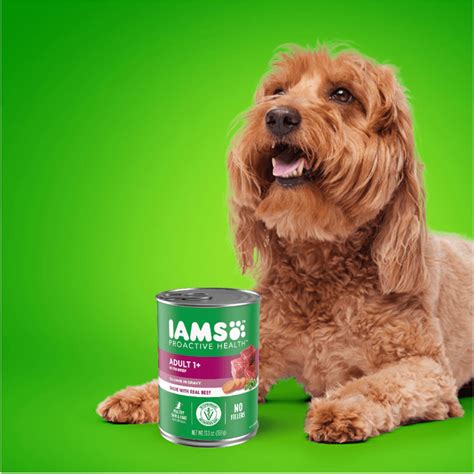 Iams™ Adult Beef Chunks In Gravy