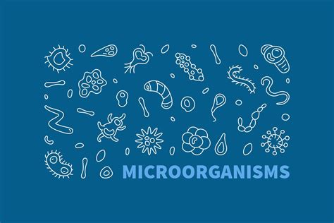 Microorganisms Vector Micro Organisms Concept Outline Blue Horizontal