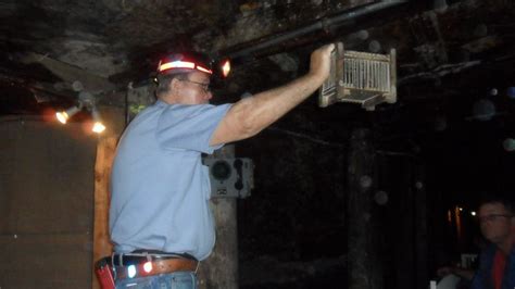 Cage The Miners Kept The Canary In Coal Mining West Virginia Coal