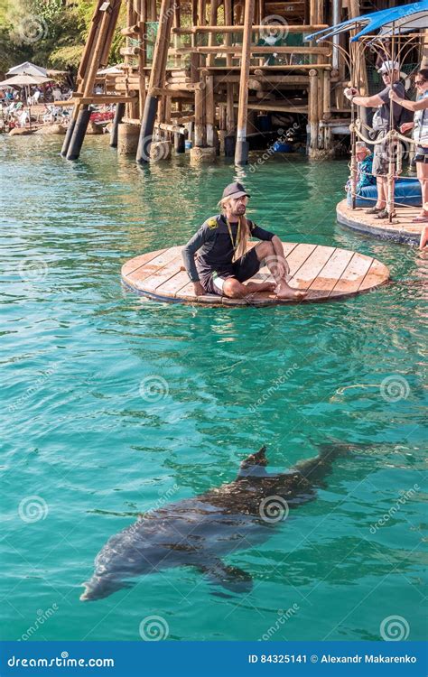 Beach Dolphin Reef In Eilat Editorial Photo Image Of Tourism Travel