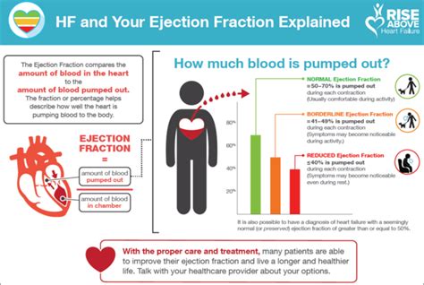 Ejection Fraction Doctors Corner The Viking Heart Within