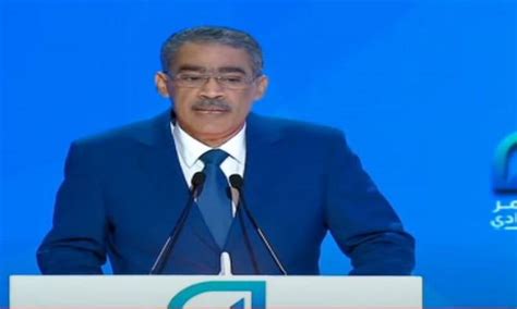 ضياء رشوان تحويل مقترحات الحوار الوطنى والمؤتمر الاقتصادى إلى تشريعات