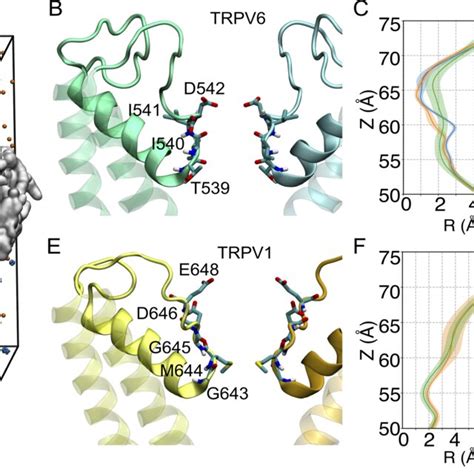 The Flexibility Of The Pore Helix Influences The Cation Permeation Of