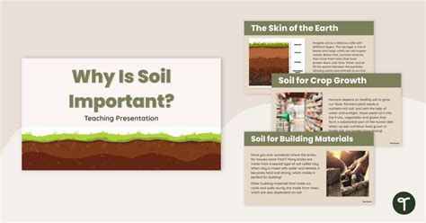What Makes Rich Soil