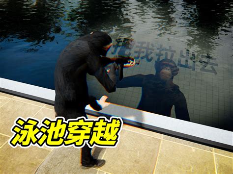 永远走不出的，泳池！ 勾魂公狒狒 勾魂公狒狒 哔哩哔哩视频