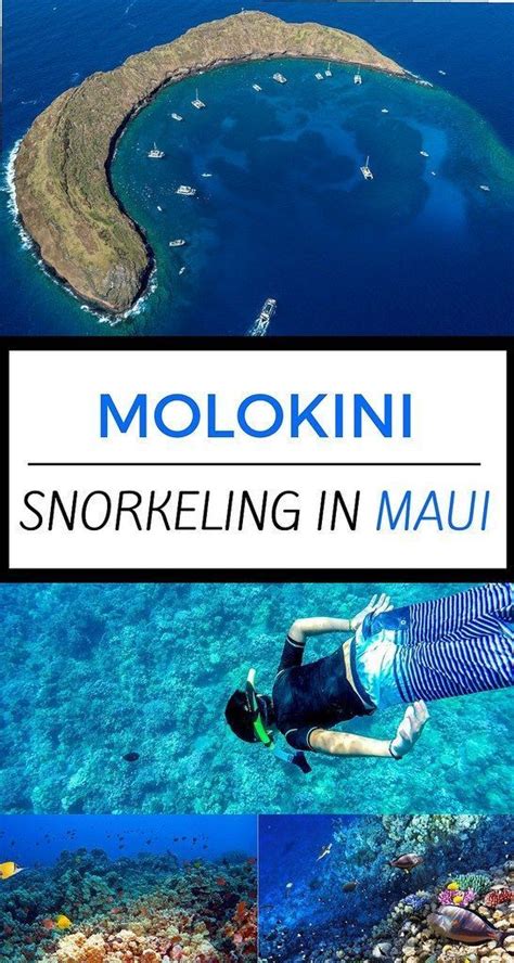Snorkeling At Molokini Crater Molokini Crater Snorkeling Tips Kauai