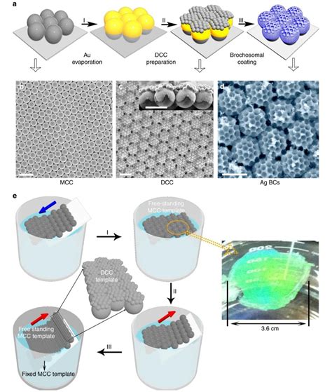 Plasmonic Football Like Structure And Its Fabricating Process Based On Download Scientific