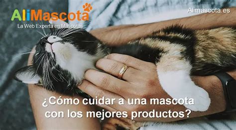 Cómo cuidar a una mascota con los mejores productos ALIMASCOTA ES