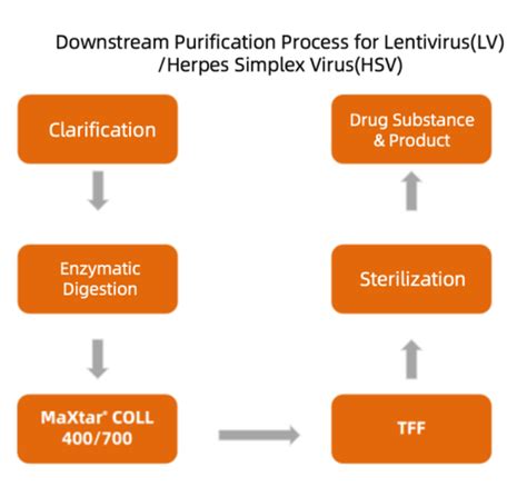 Unlocking The Downstream Purification Process For Viral Vectors Bio Link