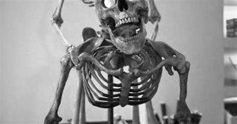 When Boneheads Bone Imgur
