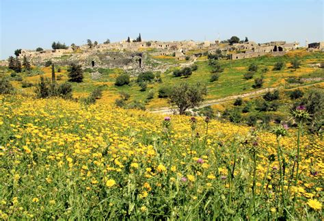 Jordanian Experiences In The Spring