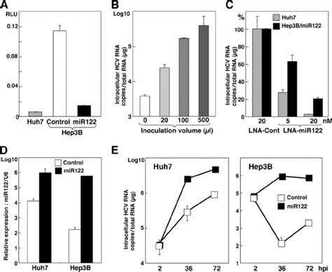 Expression Of Biologically Active Mir122 Facilitates Replication Of