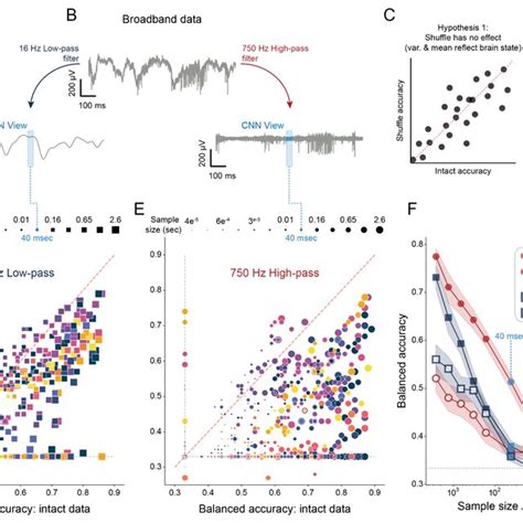 Fast Embedding Of States Is Robust To Diverse Low Frequency Activity