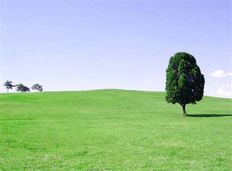 초원과 나무 유토이미지 상세페이지 베이직샵 사진 20391879