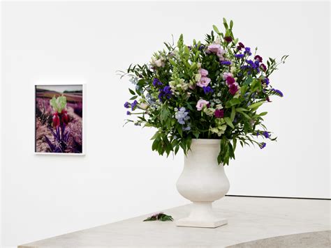 Monsieur Steichen The Contemporary Art Museum Of Luxembourg