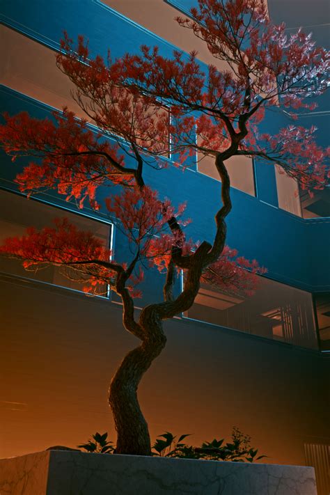 Cyberpunk 2077 Cherry Tree Cyberpunk 2077 Cherry Tree Cyberpunk