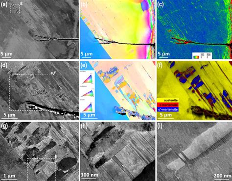 A D E F SEM BSE And B C EBSD Images In The Vicinity Of A Download Scientific Diagram