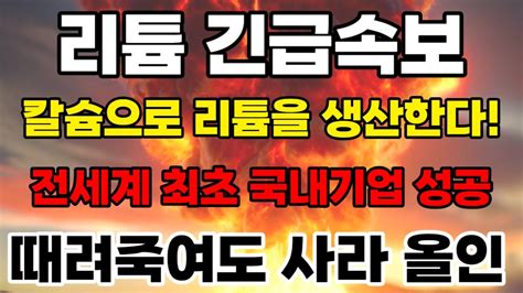 상한가 🚩칼슘으로 1500km 주행가능한 칼슘 리튬배터리 개발 성공 기업 앞으로 이 주식 90배 터진다 금양 에코