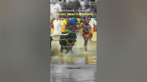 💕😍iruvail Panila Thate Bottimar 💕venoor Kambala💙💛 Kambala Kambasongs