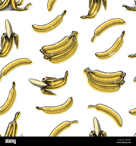 Engrave Banana Stock Vector Images Alamy