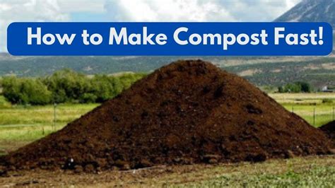 How To Make Compost Fast YouTube
