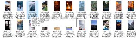 Bug 下载的很多都是一个空的文本文档 · Issue 235 · Johnserf Seedtiktokdownload · Github