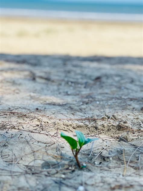 Thao Ngoc Tran On Linkedin Support Opentowork 84 Comments