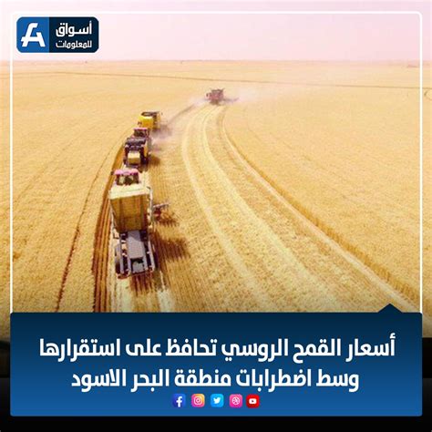 أسواق للمعلومات أسعار القمح الروسي تحافظ على استقرارها وسط اضطرابات