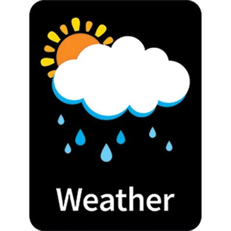 Demco® Flare Genre Classification Labels Weather
