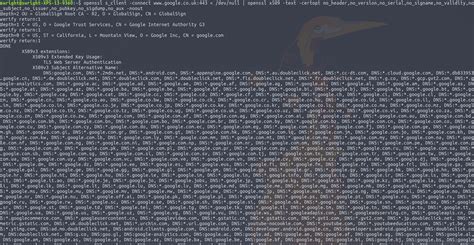 Beating DNS Over HTTPS DNS Over TLS