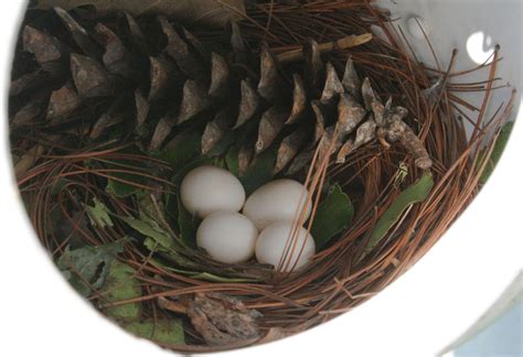 Vickie Henderson Art Purple Martins Nesting Behavior