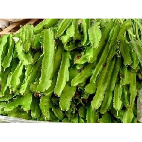 Native Sigarilyas Seeds For Planting 10 Seeds Shopee Philippines