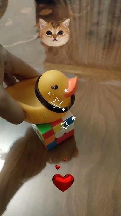 Programmer Friend 🧡 Youtube