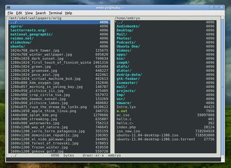 25 File Managers For Ubuntu Tuxarena