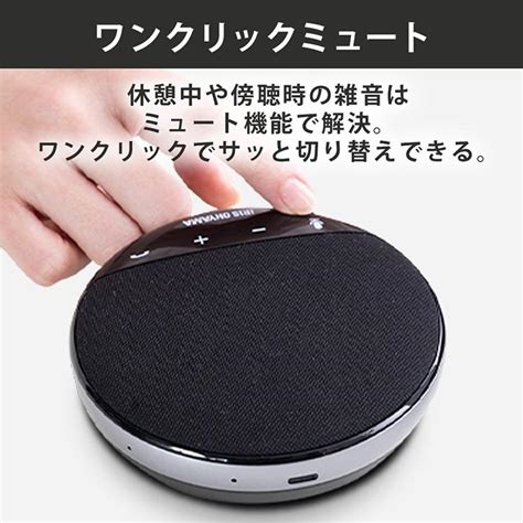 スピーカーフォン ワイヤレス マイク内蔵 テレワーク リモート 在宅 会議 ミーティング スピーカー 黒 アイリスオーヤマ Cms 101 B