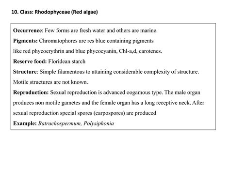 Algae Classification Pptx
