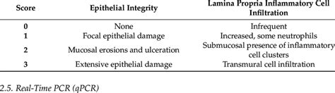Scoring System For Histological Evaluation Download Scientific Diagram