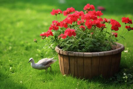 花园里浇花的场景高清图片下载 正版图片600339423 摄图网