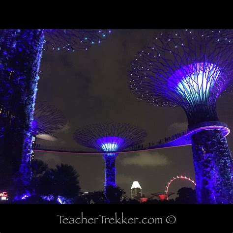 Singapore Ig4 Teacher Trekker