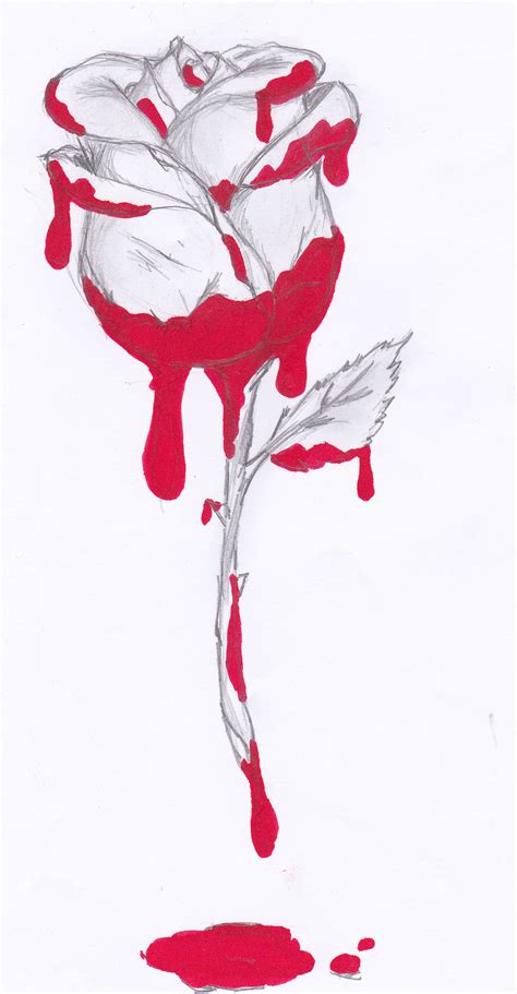 Bleeding Rose Drawing By Calibur101 Dragoart