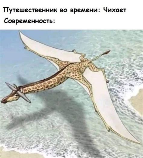 Эффект бабочки Пикабу