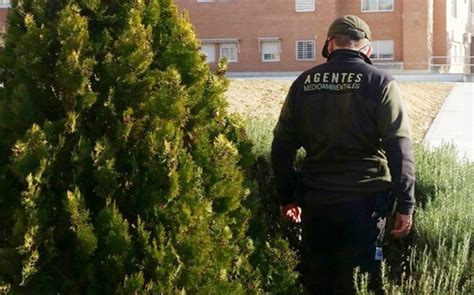 Aprobado el Plan de Inspección Medioambiental de Castilla La Mancha