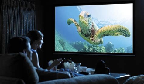 Projector Vs Oled Which Is Right For You