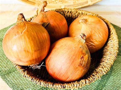 自然栽培の野菜を宅配する倶楽部大地