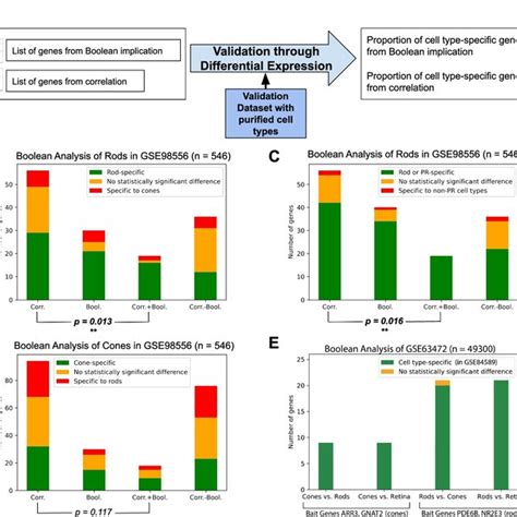 Independent Validation Of Results A Validation Bulk Rna Seq Datasets