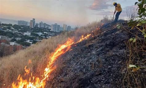 El Manejo Integral Del Fuego Una Normativa Para Controlar Y Aprovechar